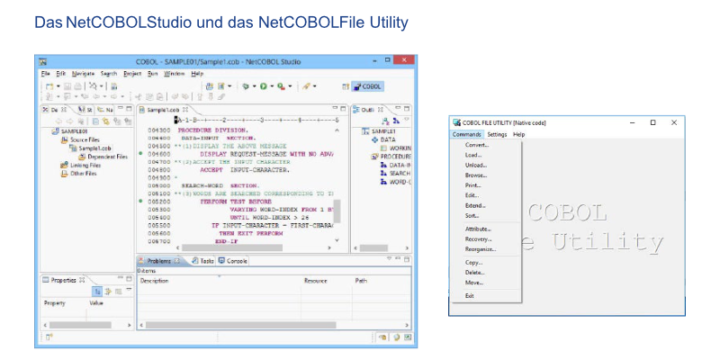 NetCOBOL for Windows - EasiRun Europa GmbH